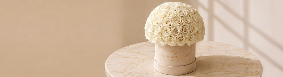 Forever Roses & Flowers - The Million Roses®