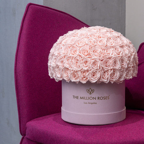 The Million Roses - Luxury Preserved Roses That Last Forever