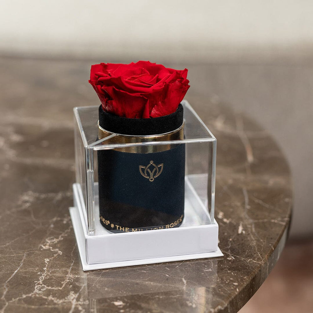 The Million Roses - Luxury Preserved Roses That Last Forever