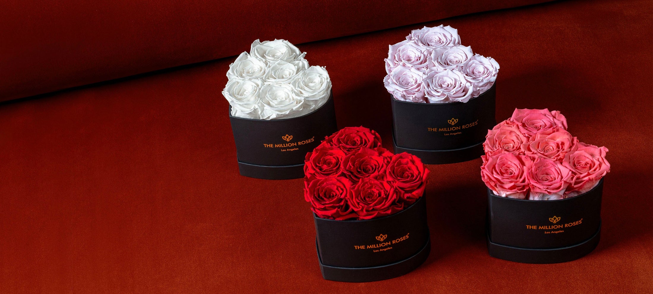 The Million Roses - Luxury Preserved Roses That Last Forever