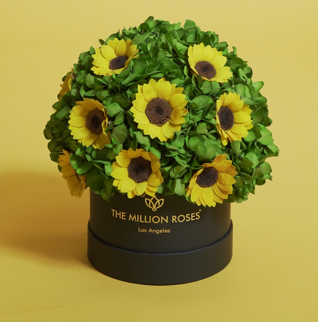 The Million Roses - Luxury Preserved Roses That Last Forever