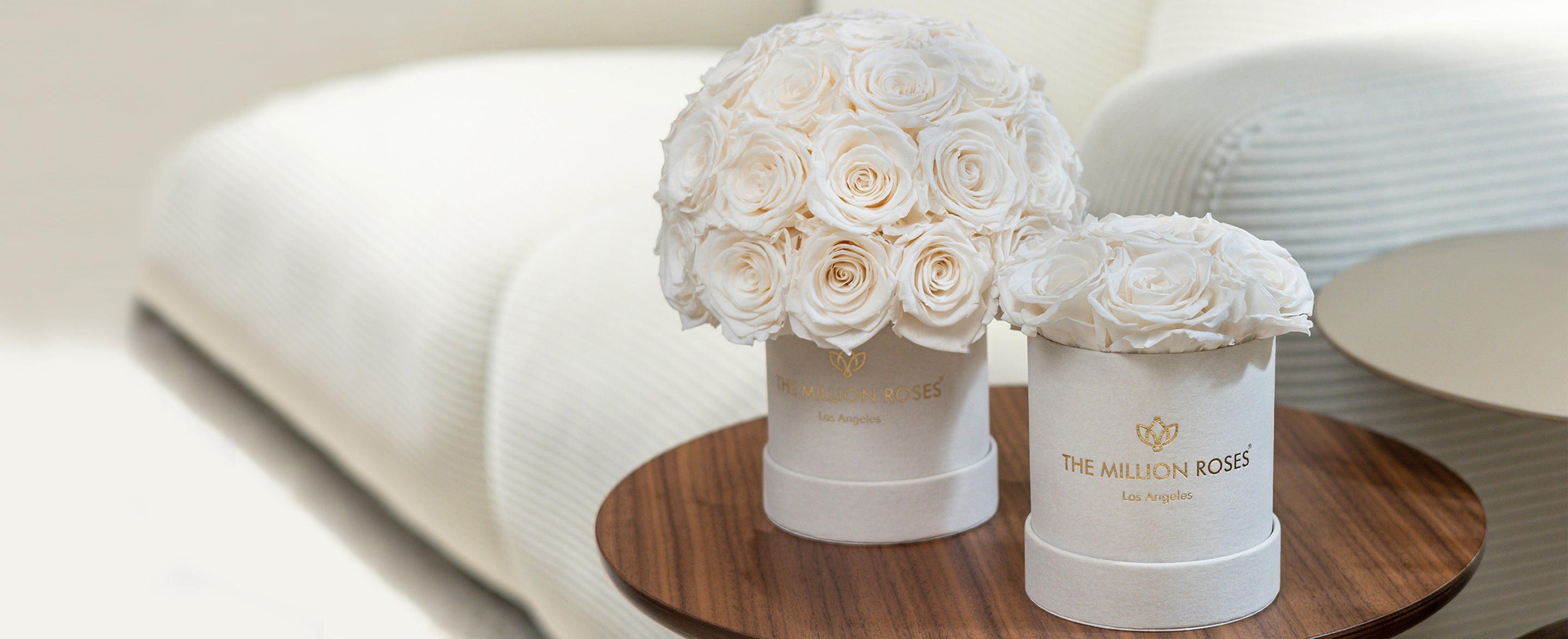 The Million Roses - Luxury Preserved Roses That Last Forever