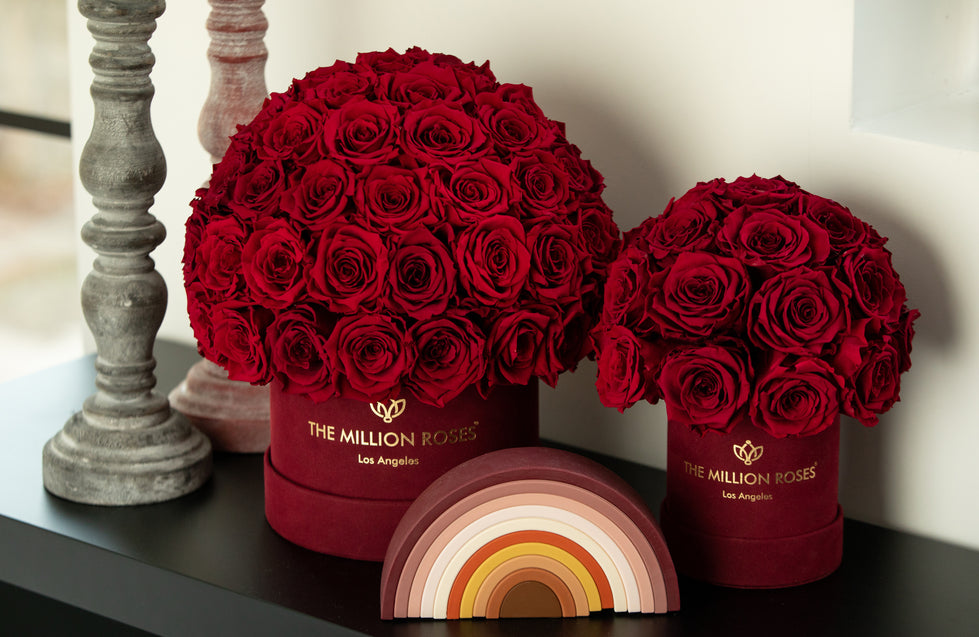 The Million Roses - Luxury Preserved Roses That Last Forever