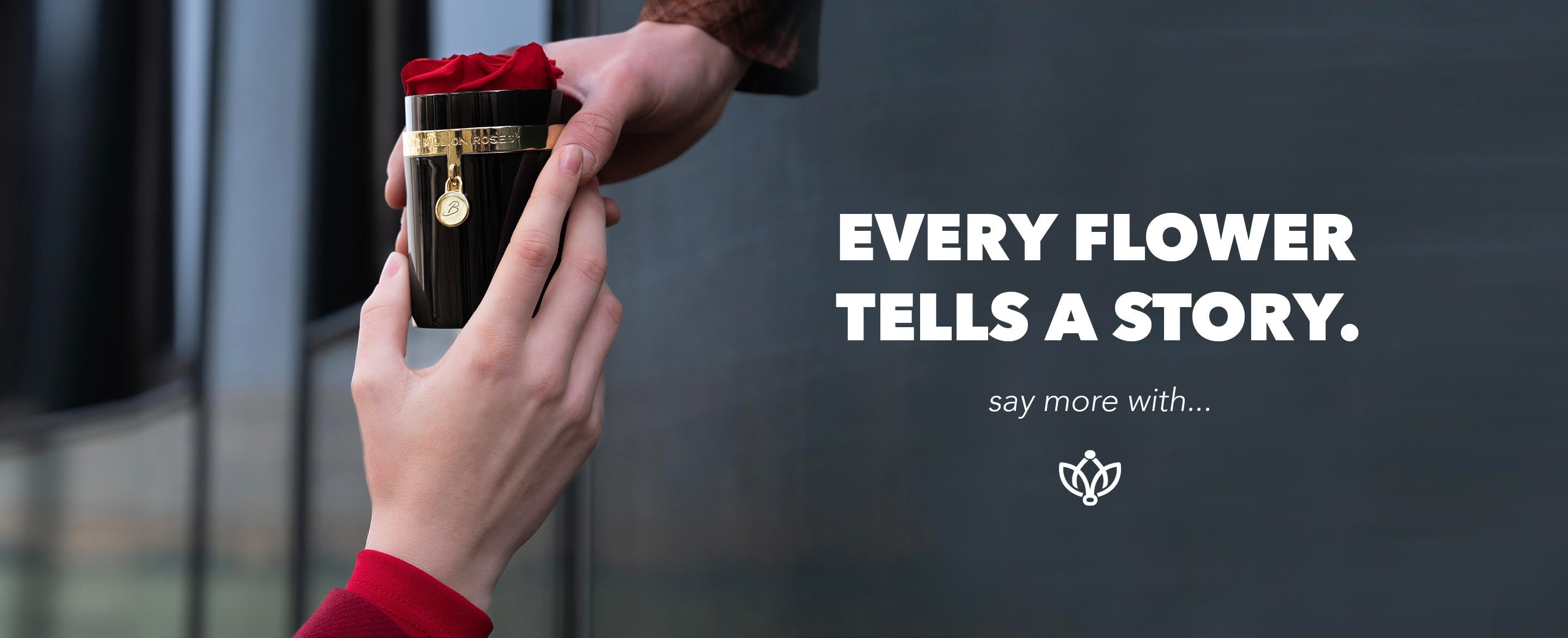 The Million Roses - Luxury Preserved Roses That Last Forever